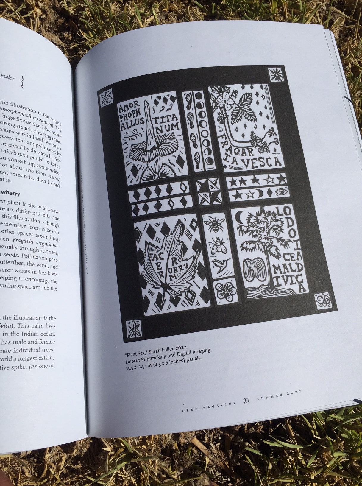 Geez Magazine Issue 65 – Sarah Fuller Art